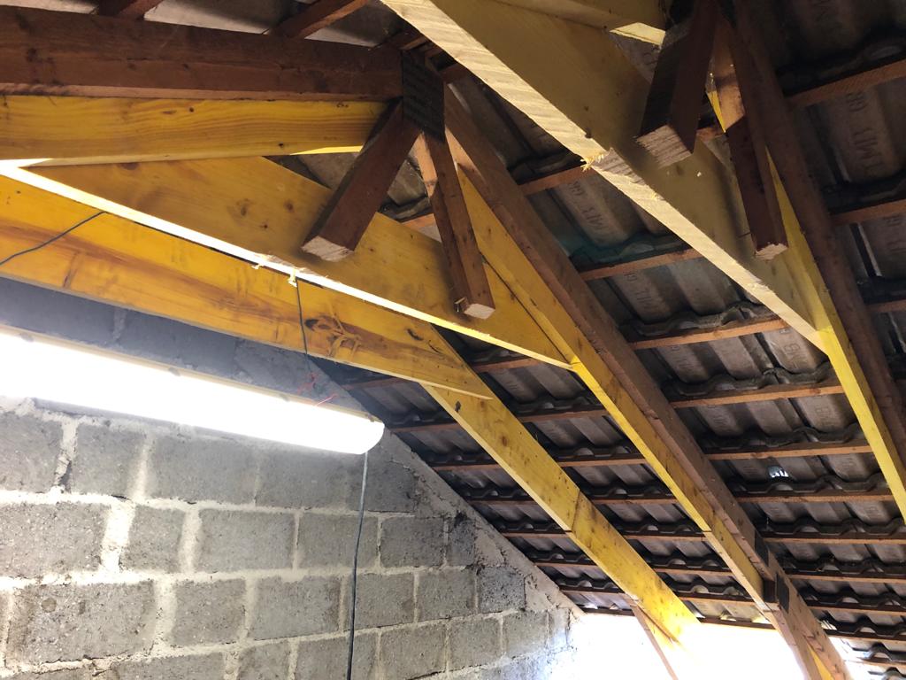 PHOTO-2020-11-03-14-20-28 - HabSO